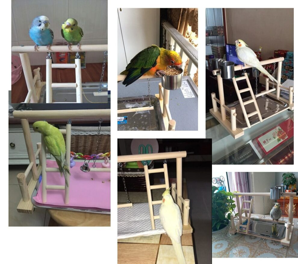Wooden Parrot Playstand With Gym Ladder Perch Toys For Lovebirds ...