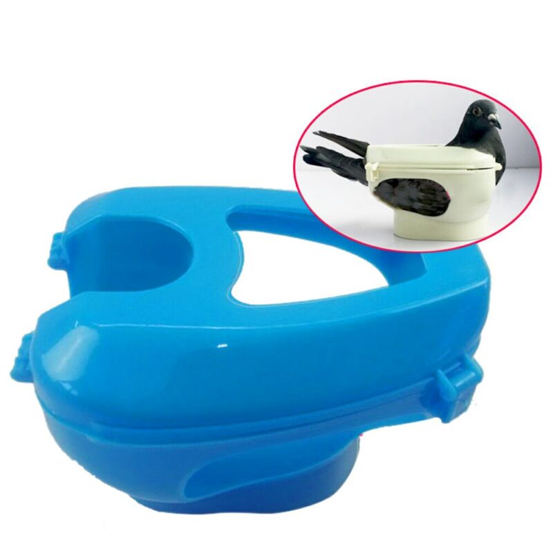 Durable Pigeon Racing Holder Injection Feeding Tool Fixed Mount Bird ...