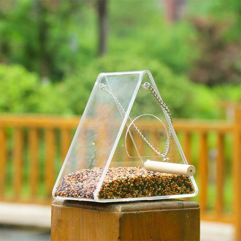Outdoor Hanging Parrot Feeder With Stand Antiscatter Bird Food Box ...