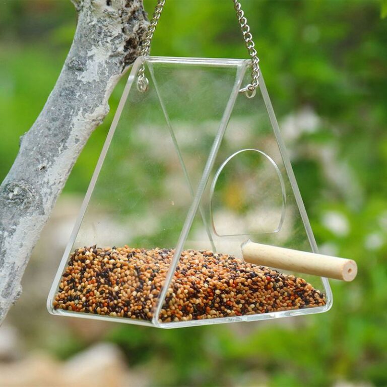 Outdoor Hanging Parrot Feeder With Stand Antiscatter Bird Food Box ...