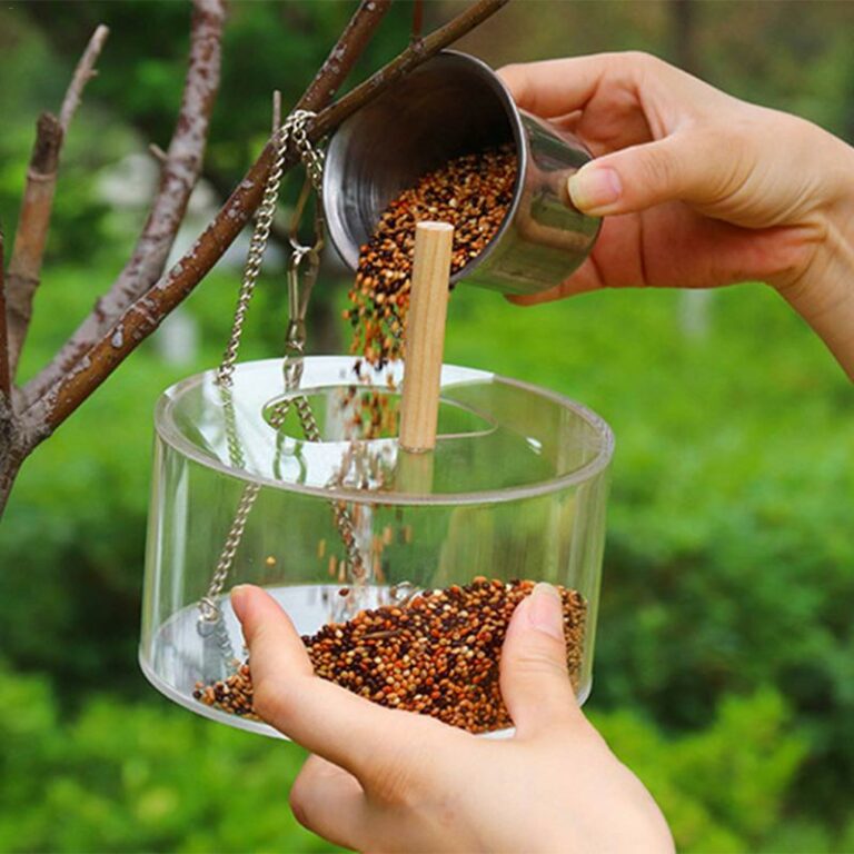 Outdoor Hanging Parrot Feeder With Stand Antiscatter Bird Food Box ...