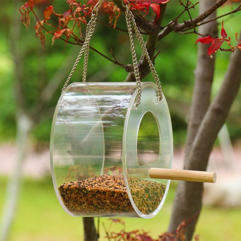 Outdoor Hanging Parrot Feeder With Stand Antiscatter Bird Food Box ...
