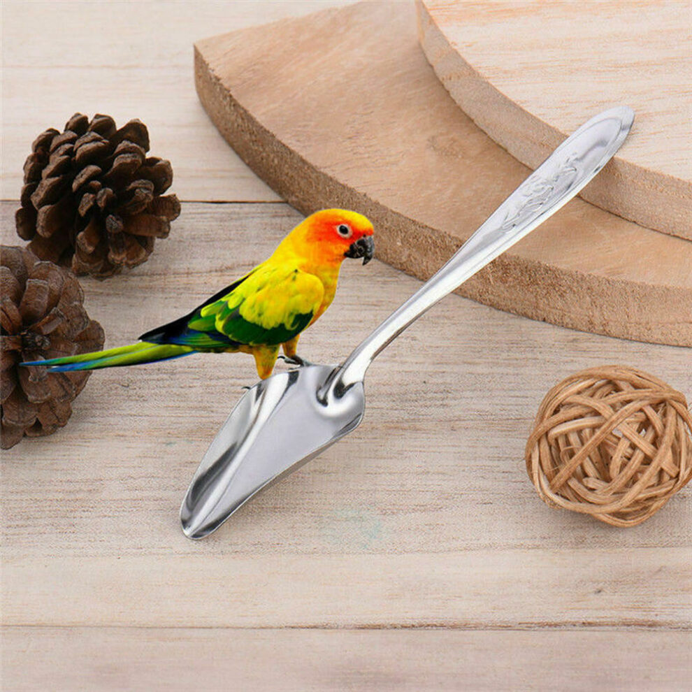 5pcs Parrot Hand Feeding Spoon Set Stainless Steel Bird Accessories ...