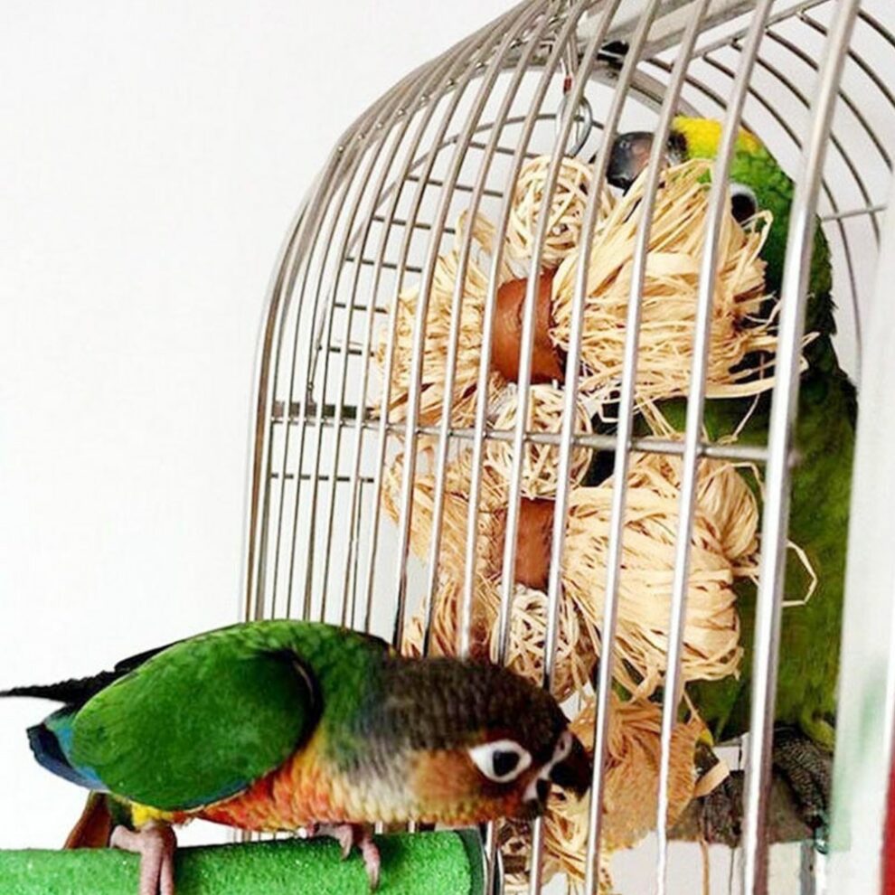 Natural Parrot Swing Toy For Birds Perfect For Macaw Budgie Lovebird ...