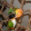 Parrot Climbing Net Swing Hammock 40x40cm Bird Chewing Biting Toy With ...