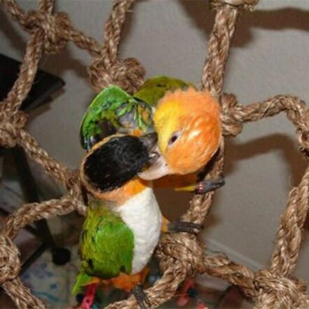 Parrot Climbing Net Swing Hammock 40x40cm Bird Chewing Biting Toy With ...