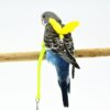 Outdoor Parrot Harness Leash Traction Strap For Training Lovebird ...