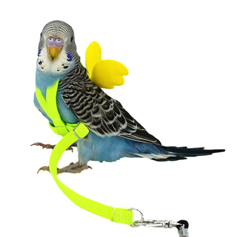 Outdoor Parrot Harness Leash Traction Strap For Training Lovebird ...