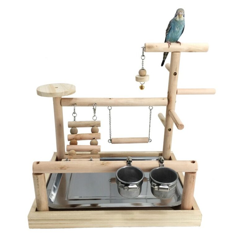 Interactive Solid Wood Training Stand For Parrots Bird Game Shelf ...