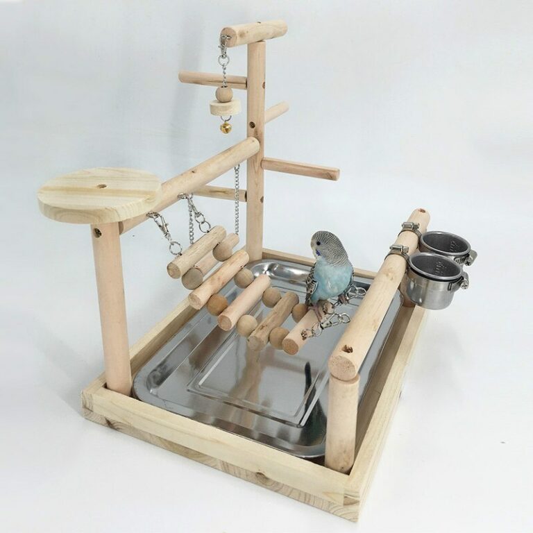 Interactive Solid Wood Training Stand For Parrots Bird Game Shelf ...