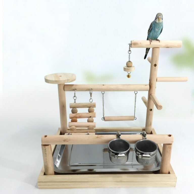 Interactive Solid Wood Training Stand For Parrots Bird Game Shelf ...