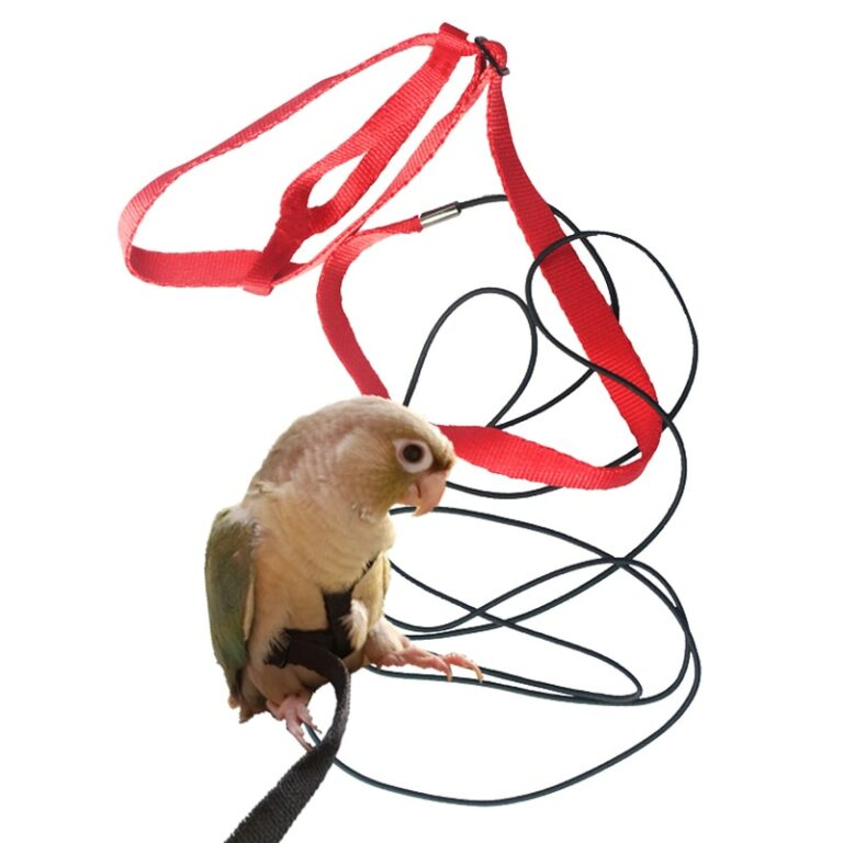 Ultralight Parrot Training Kit Antibite Bird Leash Soft Portable ...