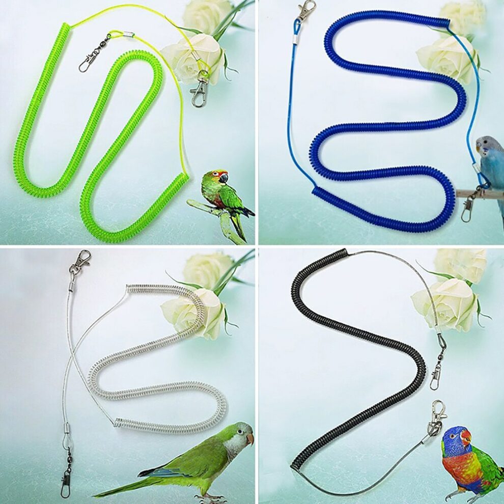 Parrot Training Leash Bird Flying Rope For Starlings Cockatiels Budgies ...