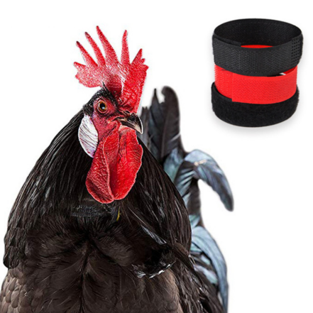 2pcs Anticrow Rooster Collars Nonhook Chicken Neckbands Humane Poultry ...