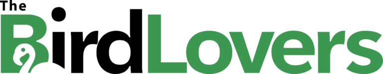 5mm Love Birds Leg Bands Cockatiel Foot Rings Bird Identification Tags ...